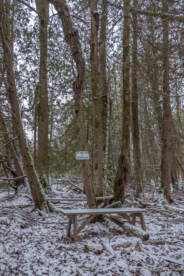 Jim Baillie Nature Reserve in Winter: Yellow Trail | Miles Hearn