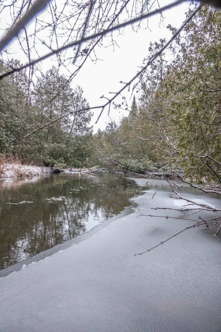 Jim Baillie Nature Reserve in Winter: Yellow Trail | Miles Hearn