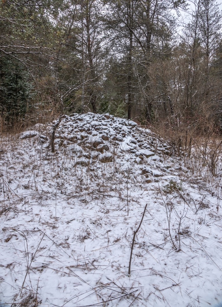 Jim Baillie Nature Reserve in Winter: White Trail | Miles Hearn
