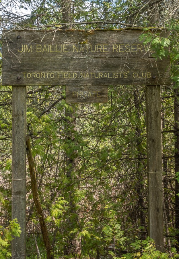 Jim Baillie Nature Reserve: May 2019 | Miles Hearn