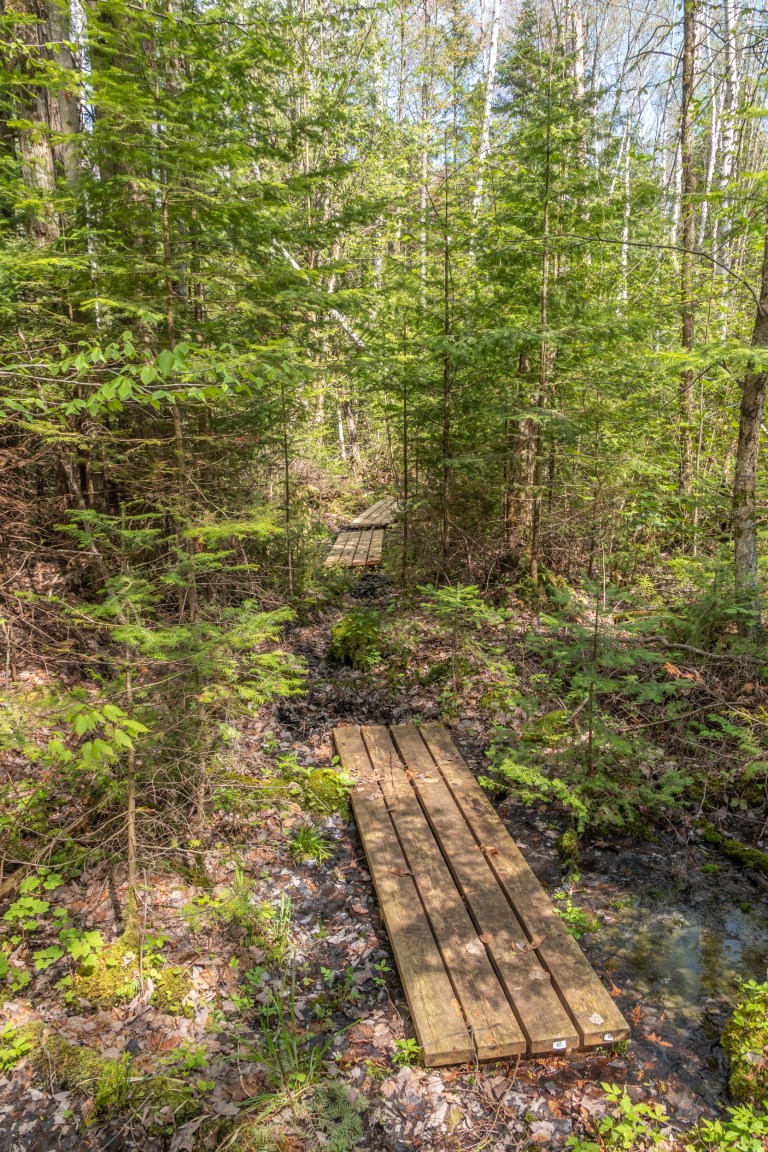 Jim Baillie Nature Reserve: May 2019 | Miles Hearn