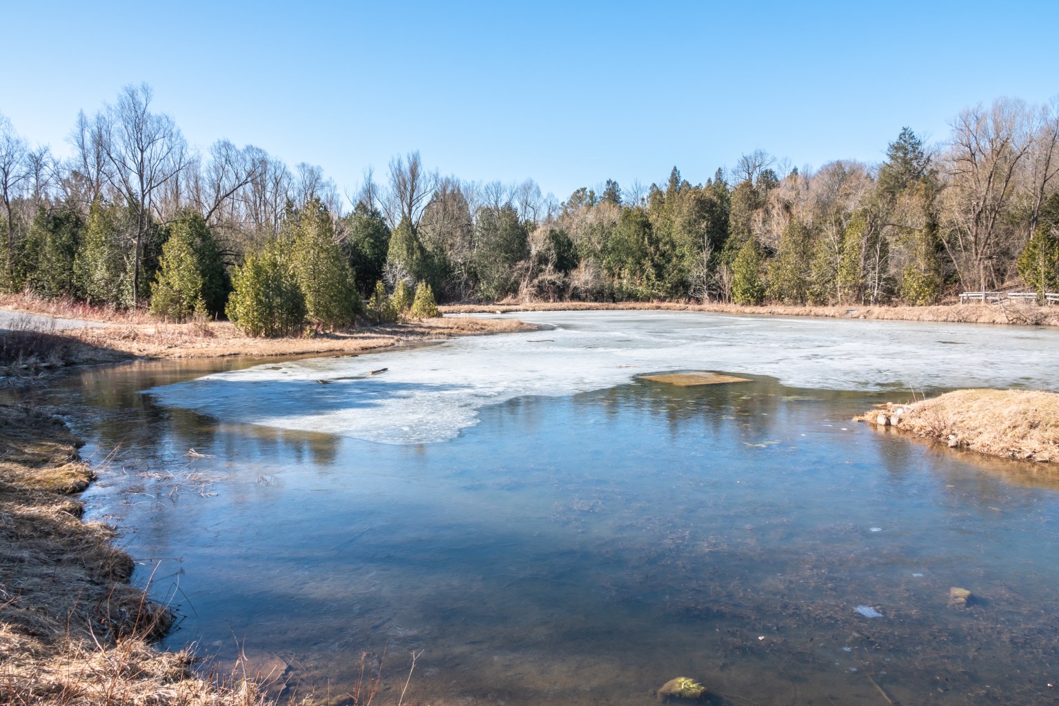 Heber Down Conservation Area: March 21, 2020 | Miles Hearn