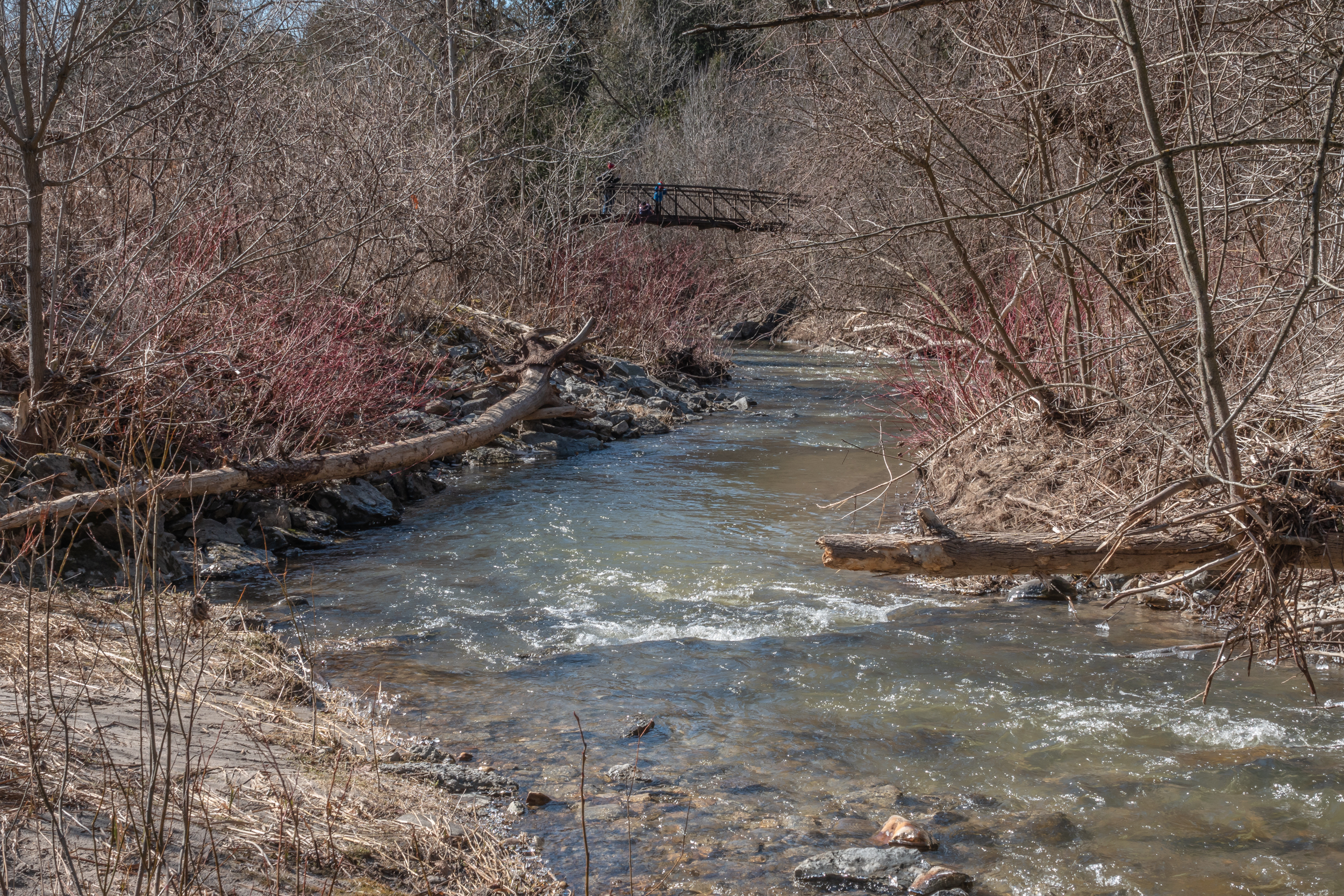 Heber Down Conservation Area: March 21, 2020 | Miles Hearn
