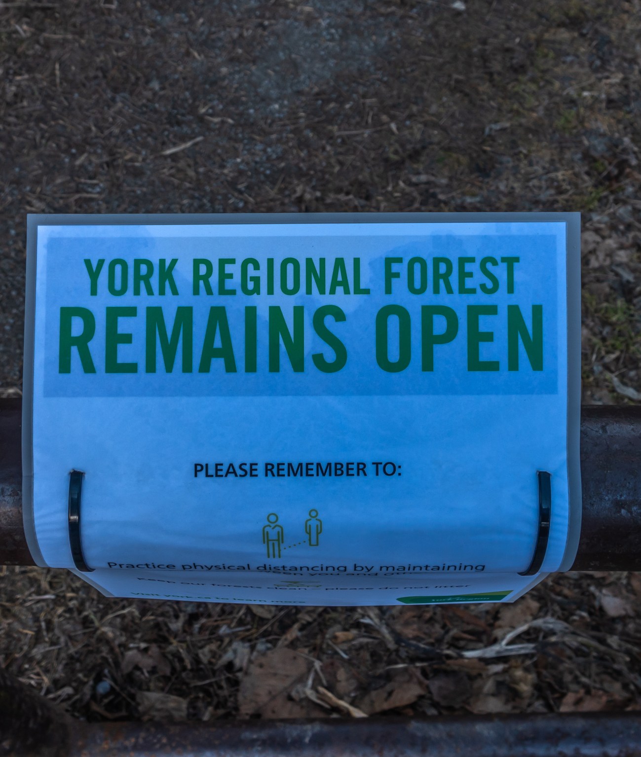 Mount Albert, Ontario: April 3, 2020 | Miles Hearn