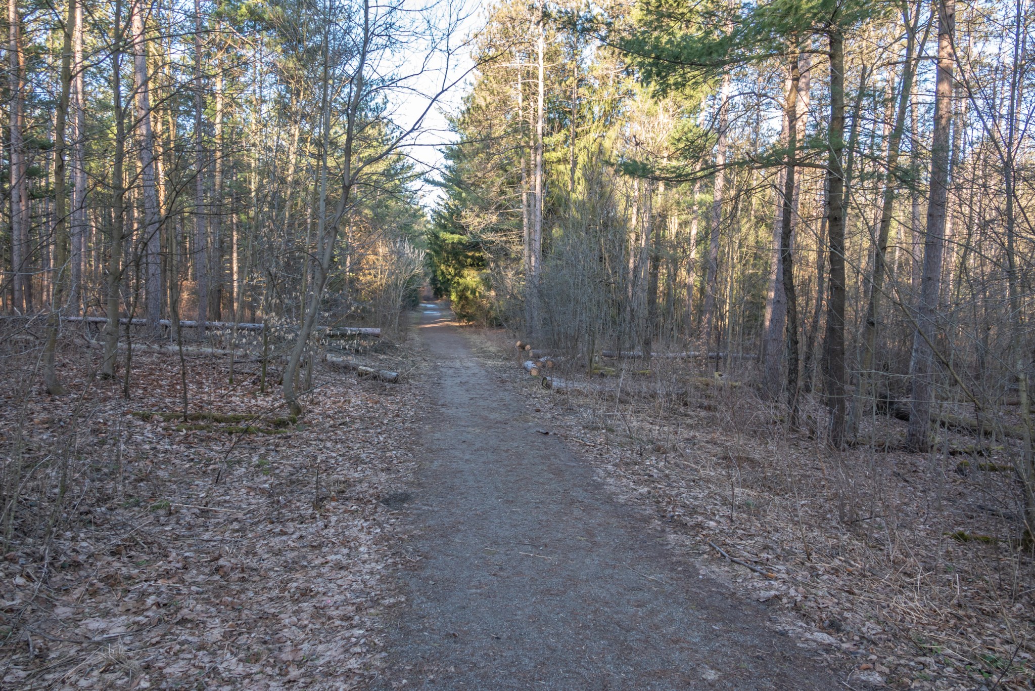 Mount Albert, Ontario: April 3, 2020 | Miles Hearn