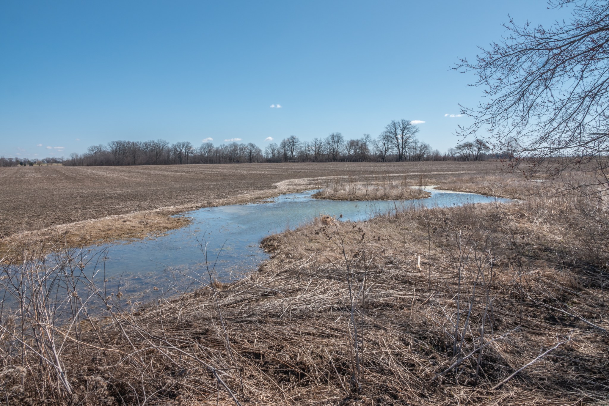 Claremont, Ontario: April 2, 2020 | Miles Hearn