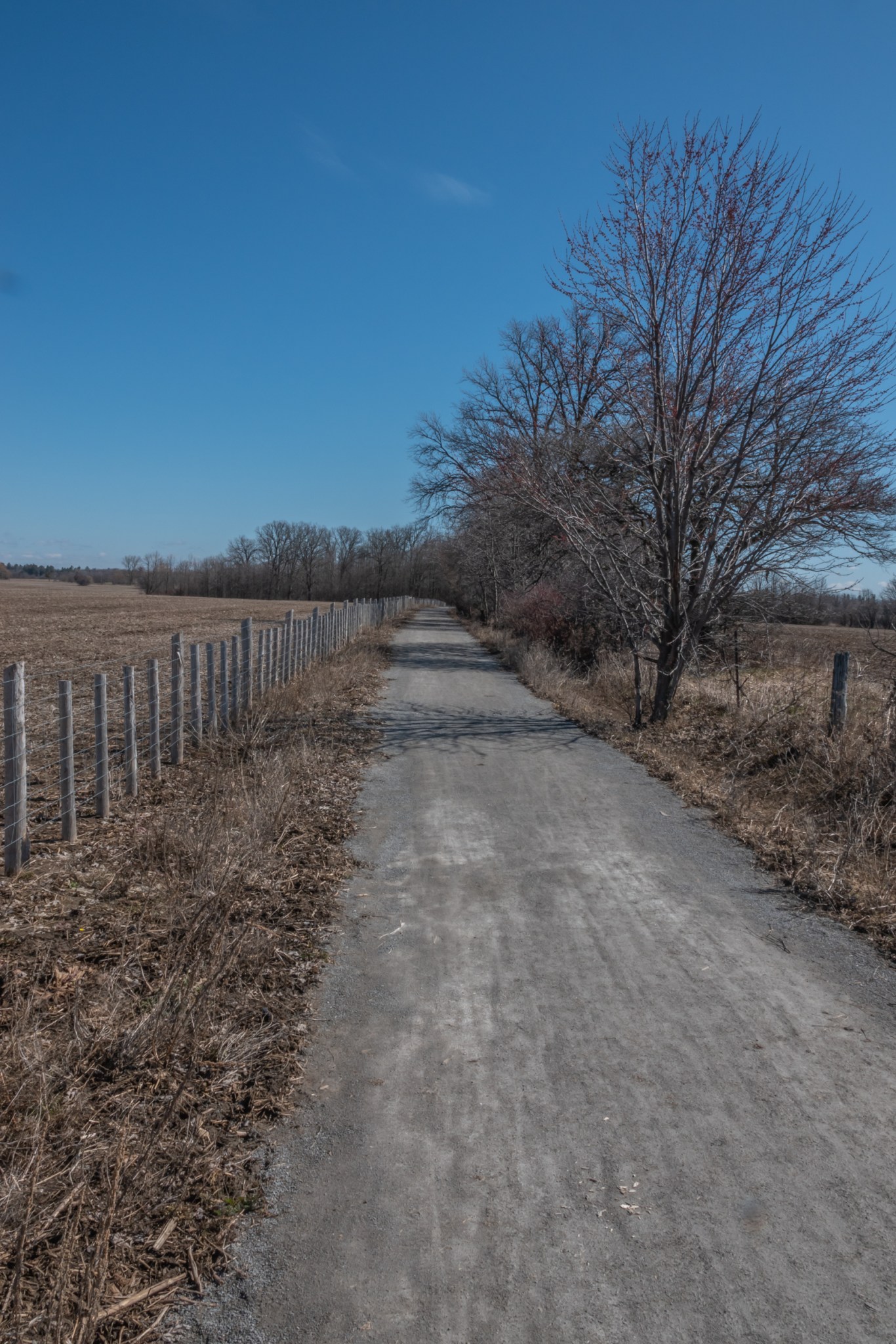 Claremont, Ontario: April 2, 2020 | Miles Hearn