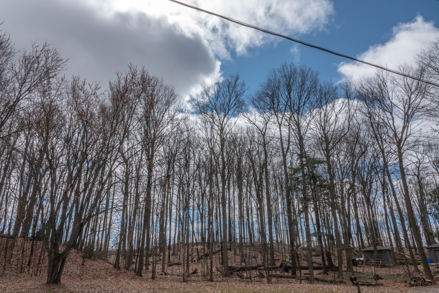 Snowball, Ontario: 2nd Week of April, 2020 | Miles Hearn