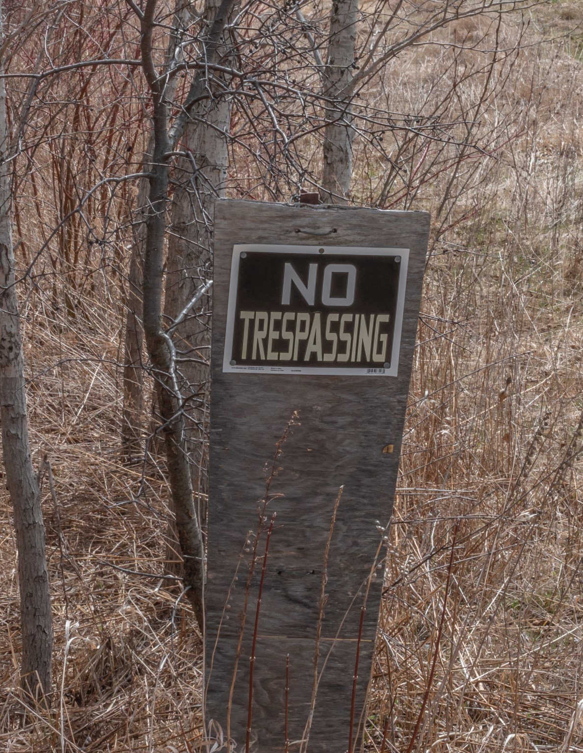 Snowball, Ontario: 2nd Week of April, 2020 | Miles Hearn