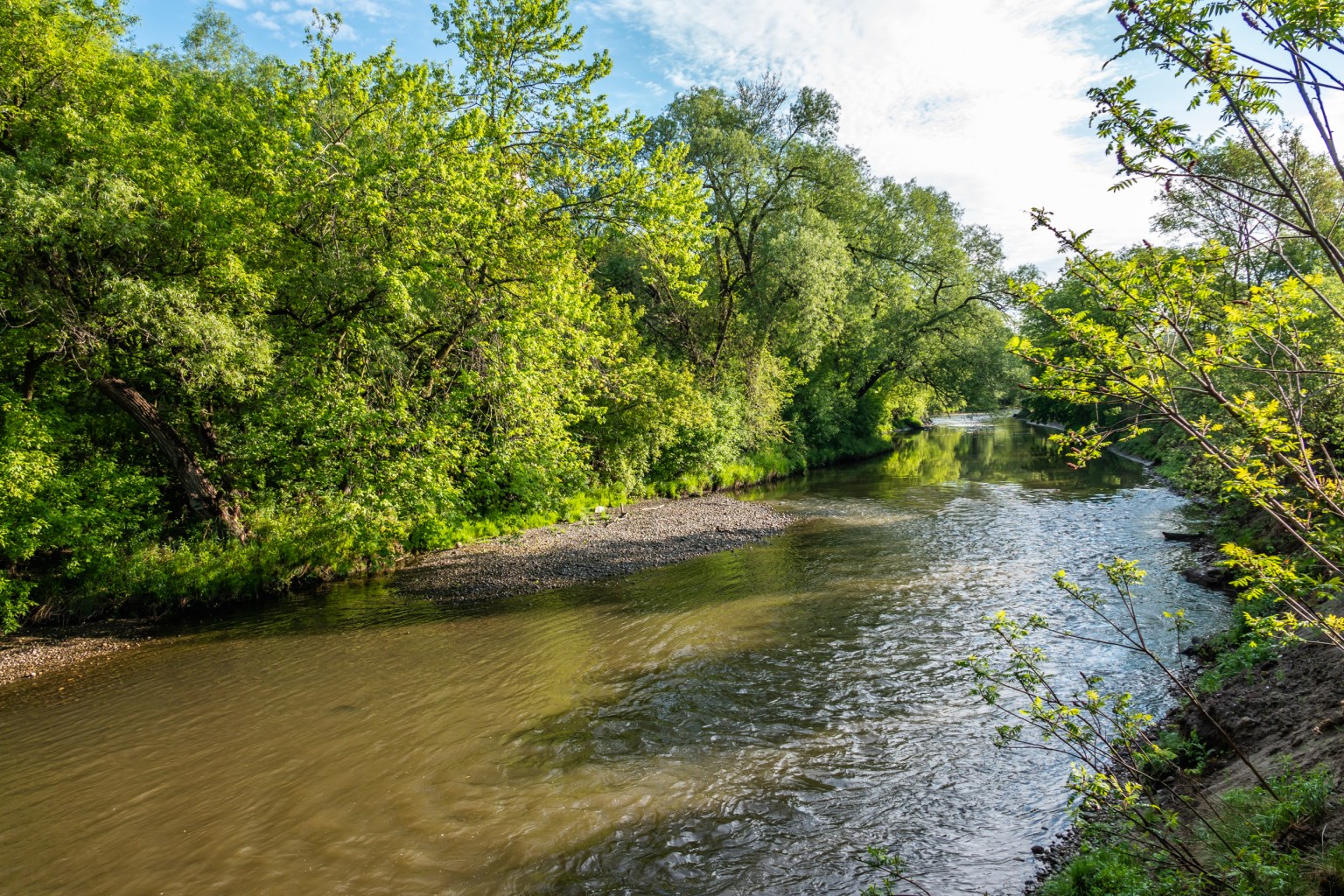 Up and Down the Don River: Late May 2020 | Miles Hearn