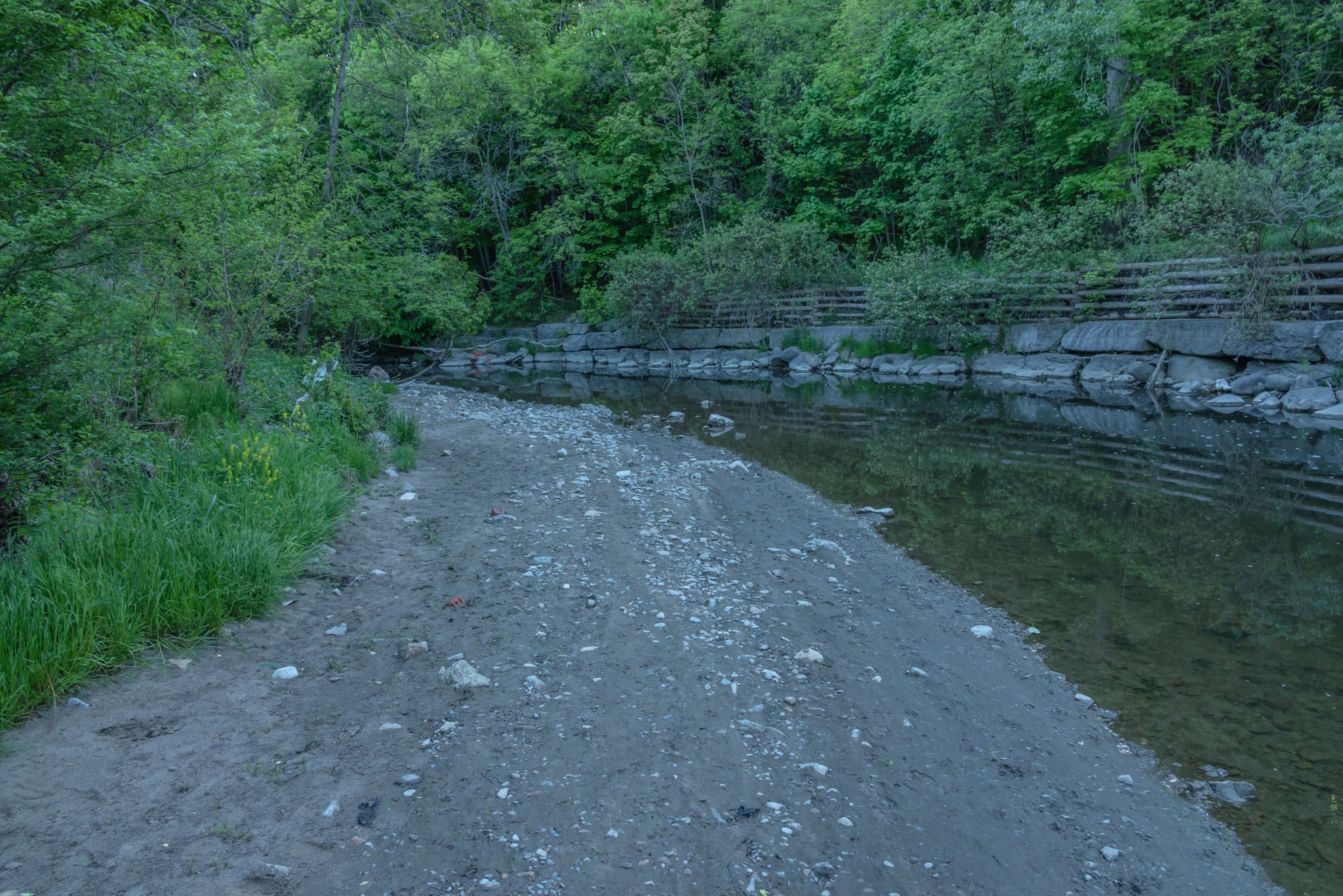 Col. Danforth Park: June 2020 | Miles Hearn