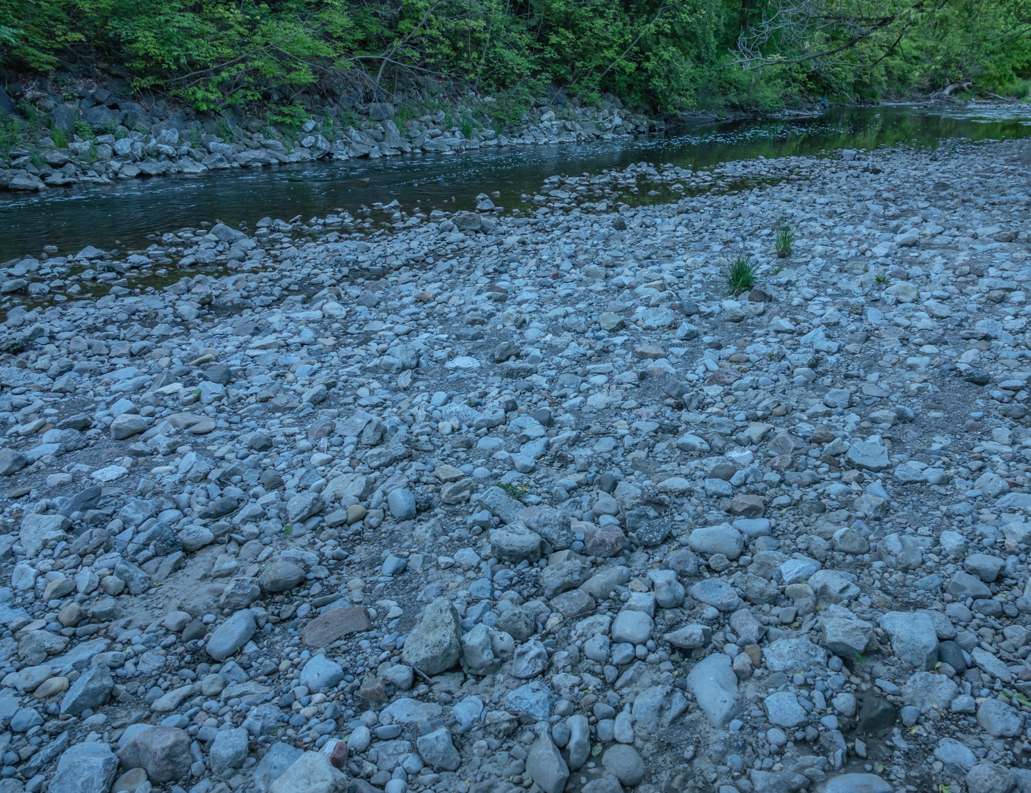 Col. Danforth Park: June 2020 | Miles Hearn