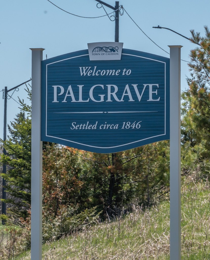 Palgrave Ontario and Some Warbler Identification: May 2020 | Miles Hearn