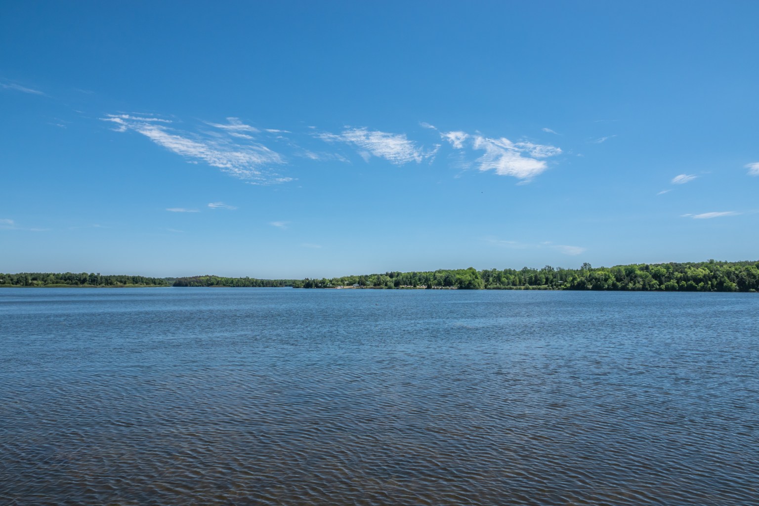 Island Lake Conservation Area: June 2020 | Miles Hearn
