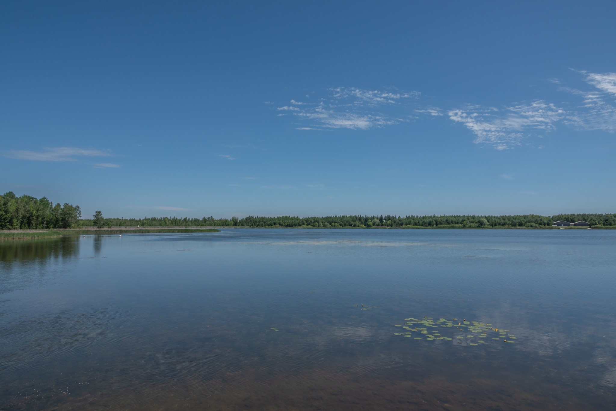 Island Lake Conservation Area: June 2020 | Miles Hearn