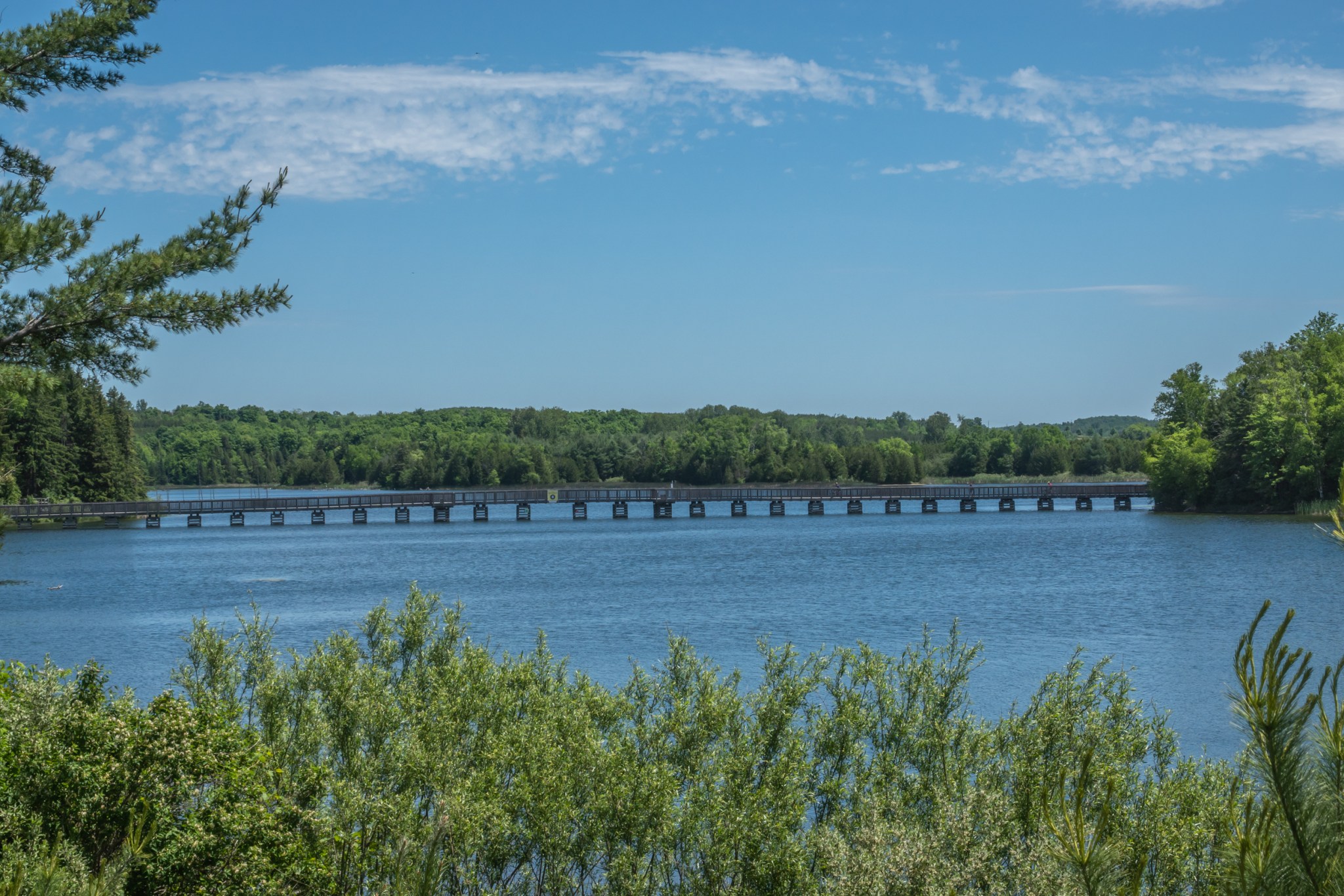 Island Lake Conservation Area: June 2020 | Miles Hearn