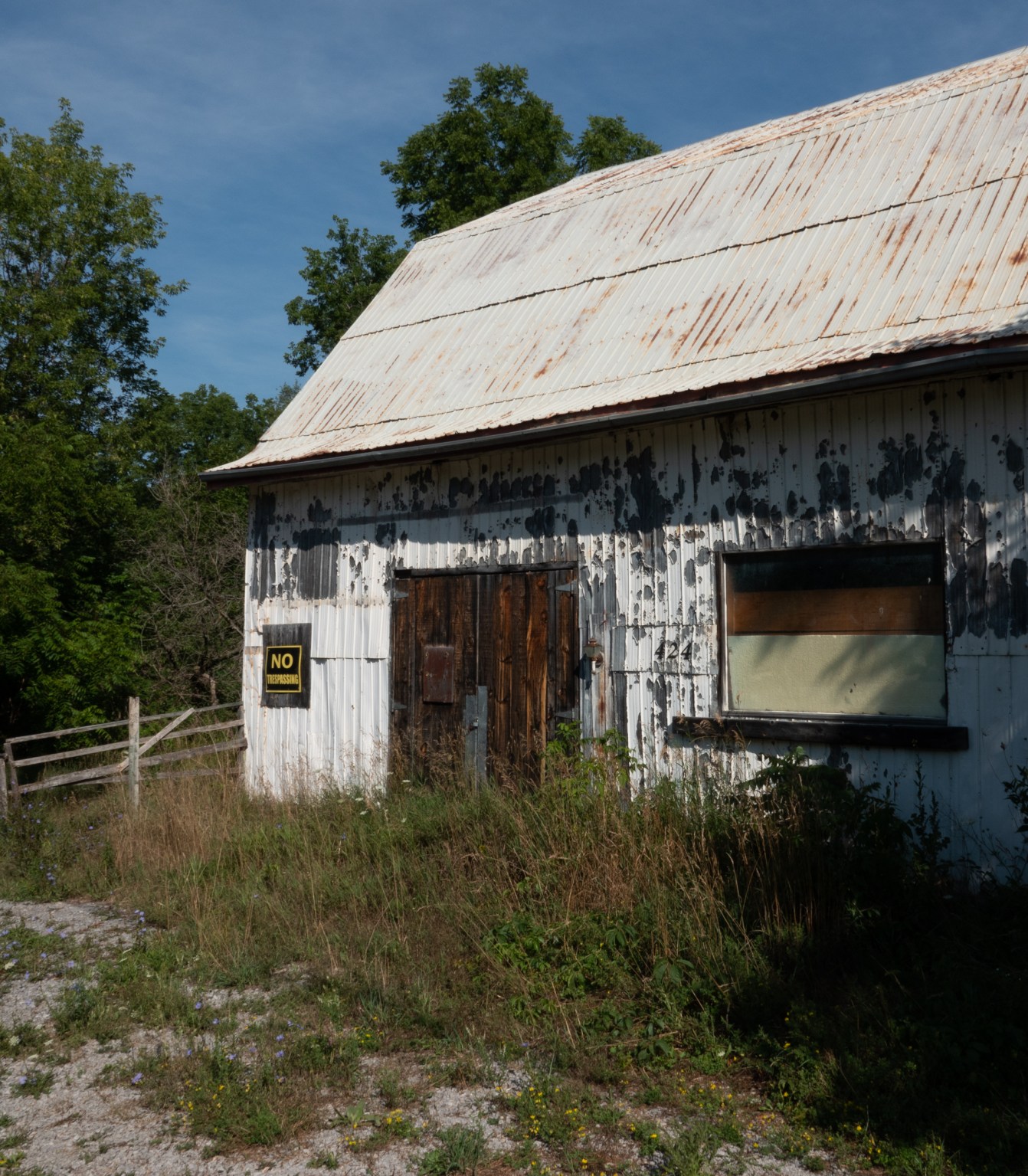 Seaton Trail north of Whitevale: July 2020 | Miles Hearn