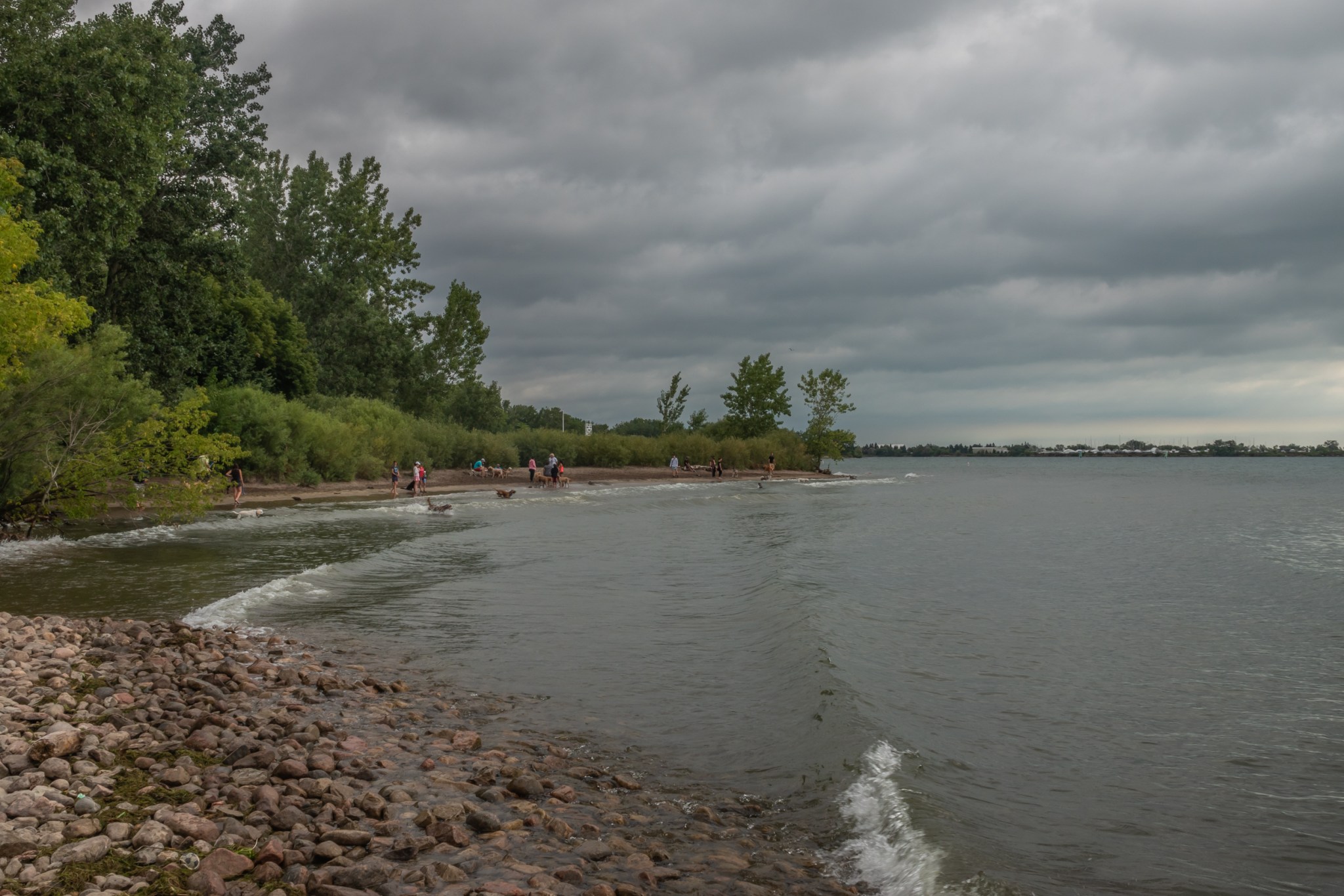 Signs of Autumn at Cherry Beach: September 2020 | Miles Hearn