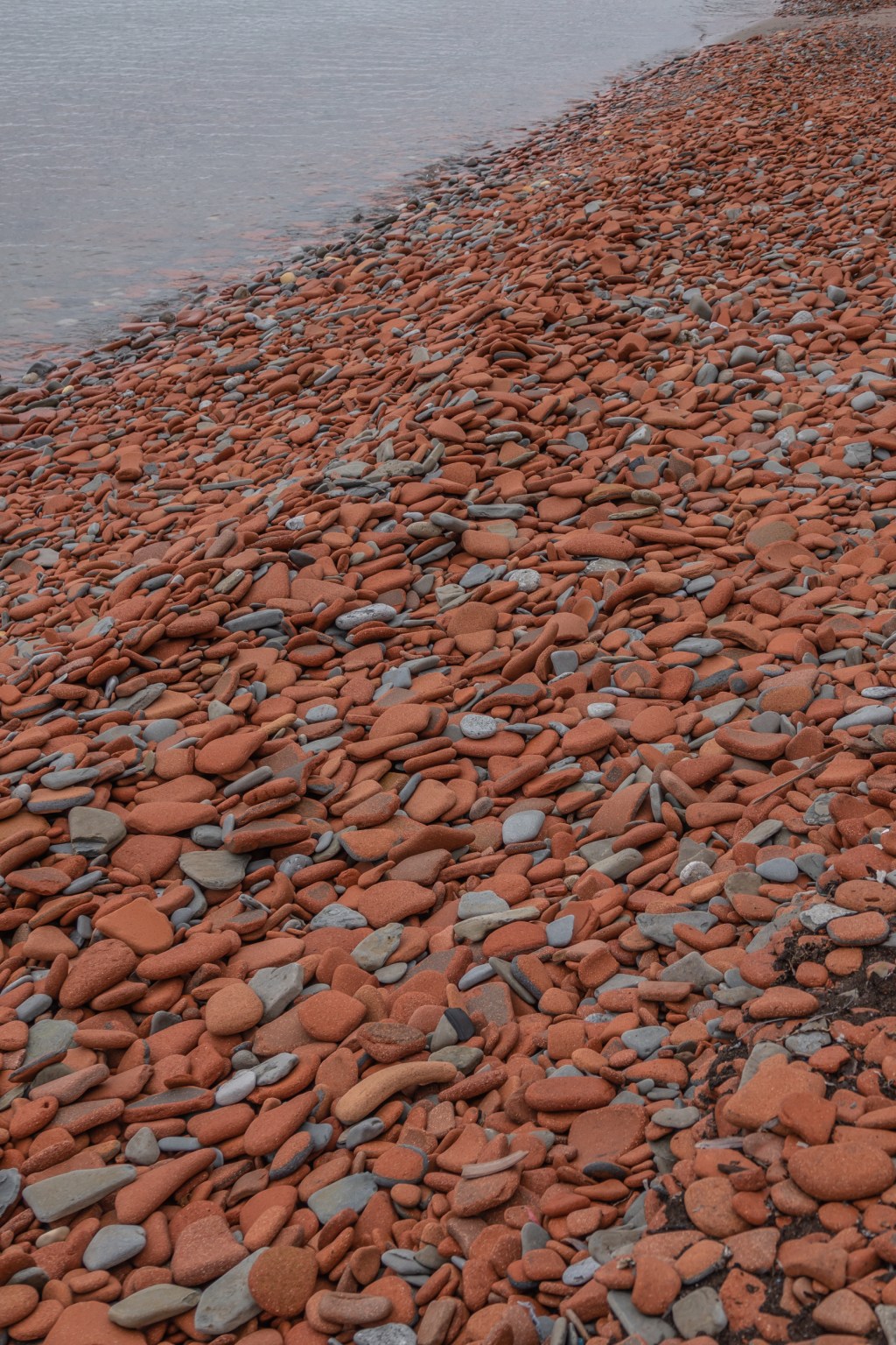 An Unusual Beach in Mississauga: December 2020 | Miles Hearn