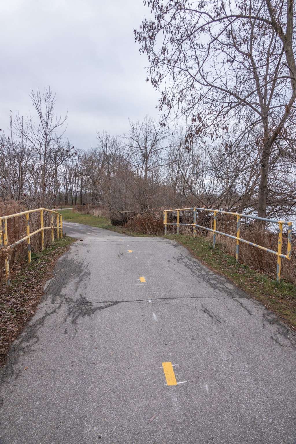 An Unusual Beach in Mississauga: December 2020 | Miles Hearn