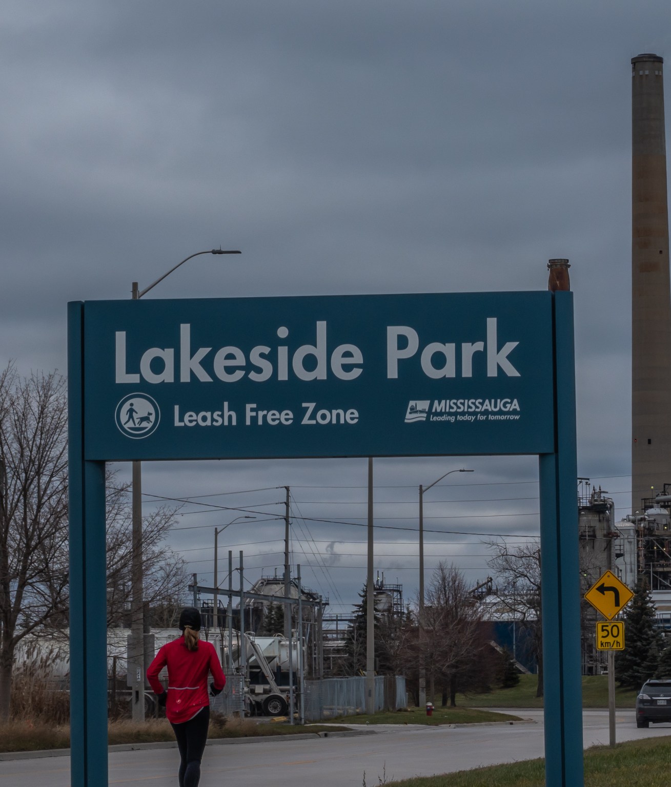 An Unusual Beach in Mississauga: December 2020 | Miles Hearn