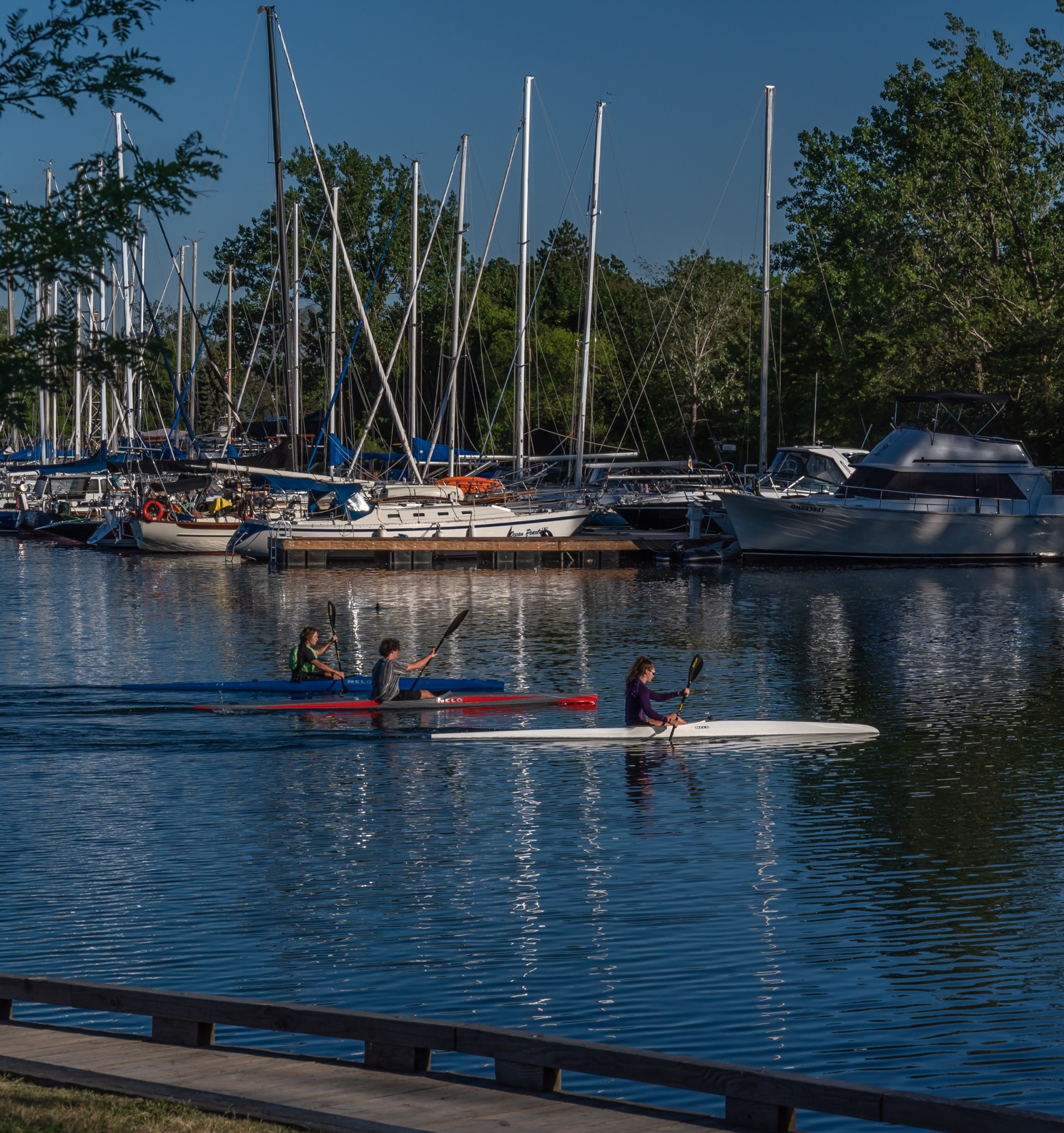 Ashbridges Bay: June 2021 | Miles Hearn