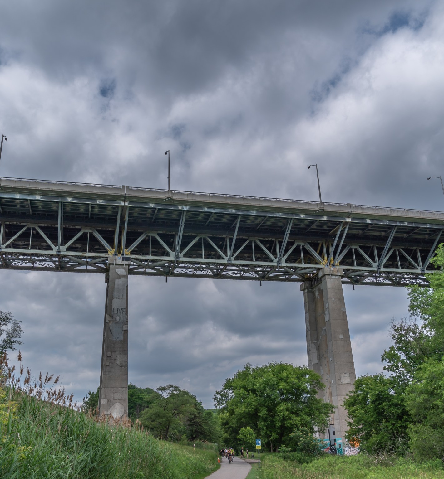 Nature Beneath the Leaside Bridge: June 2021 | Miles Hearn